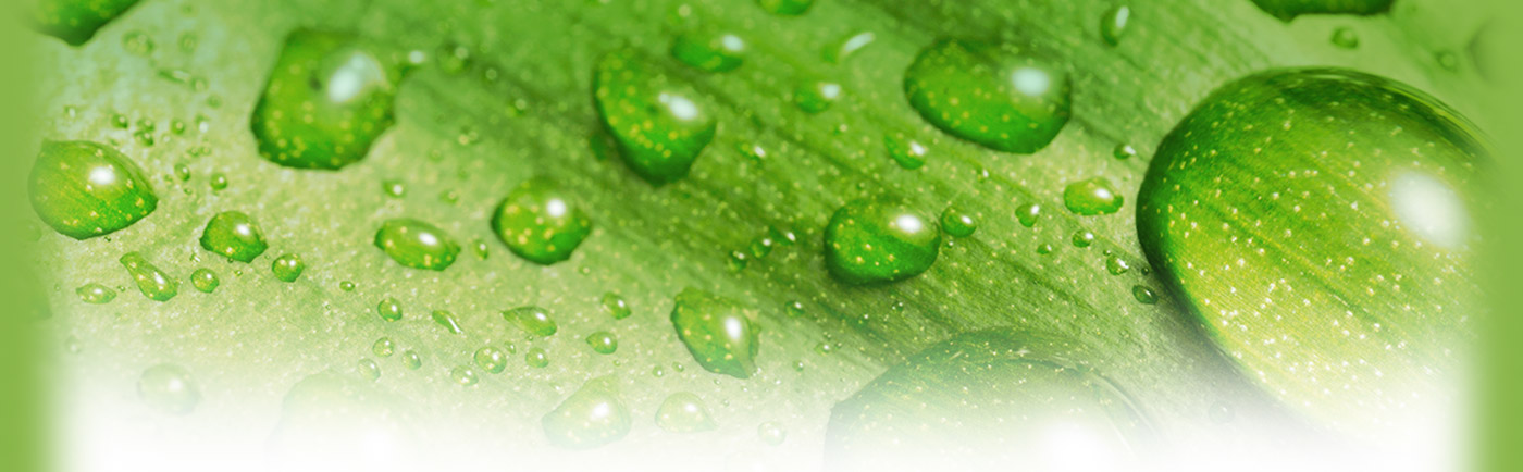 ClearView Solutions – Protect and Restore almost any surface in your home.